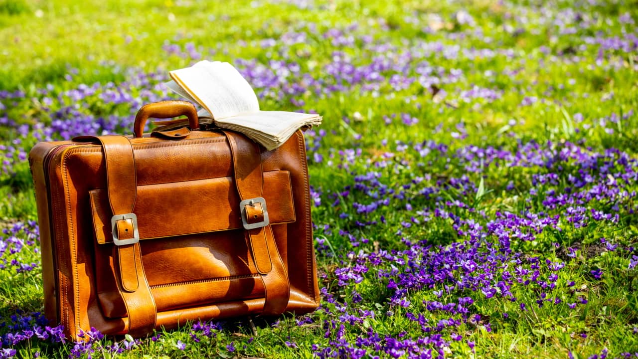 Sac vintage : l'iconique et l'incontournable de la mode